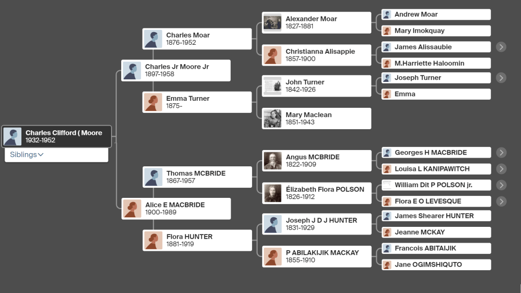 What is a Most Recent Common Ancestor? – Jennealogie