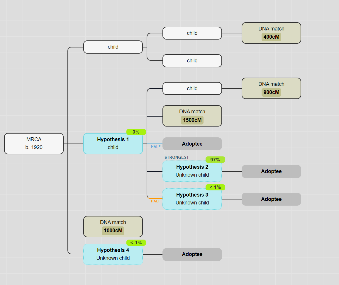 What is a genetic network? – Jennealogie